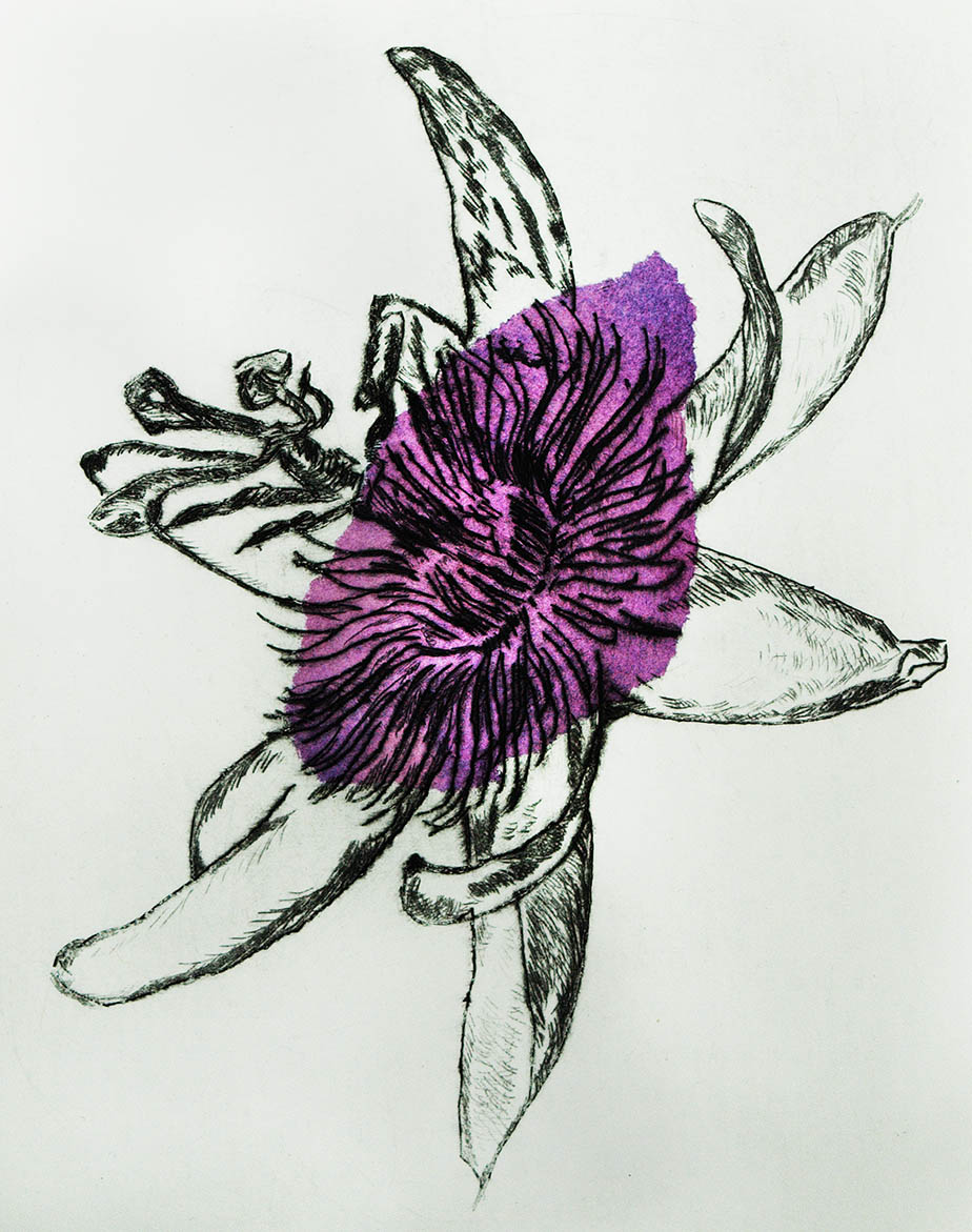 Discovering Drypoint – Ann Mackay: Inspired by Nature