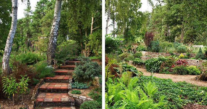 A Plant Photographer’s Paradise. – Ann Mackay: Inspired by Nature