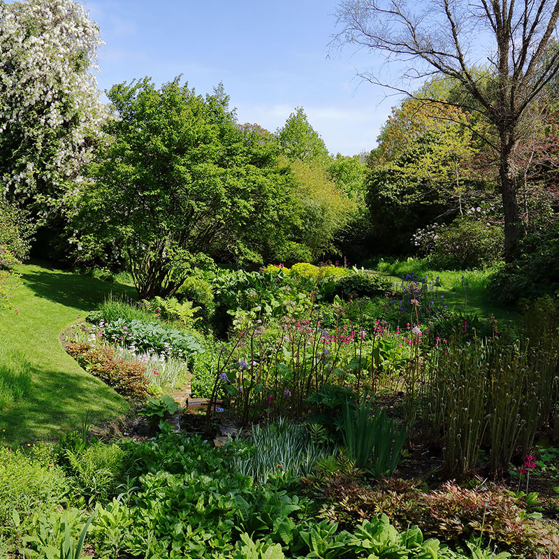 Looking for Inspiration: The Bog Garden at East Bergholt Place – Ann ...