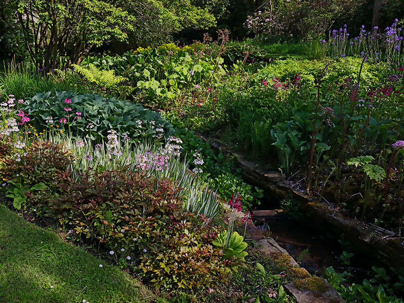 Looking for Inspiration: The Bog Garden at East Bergholt Place – Ann ...